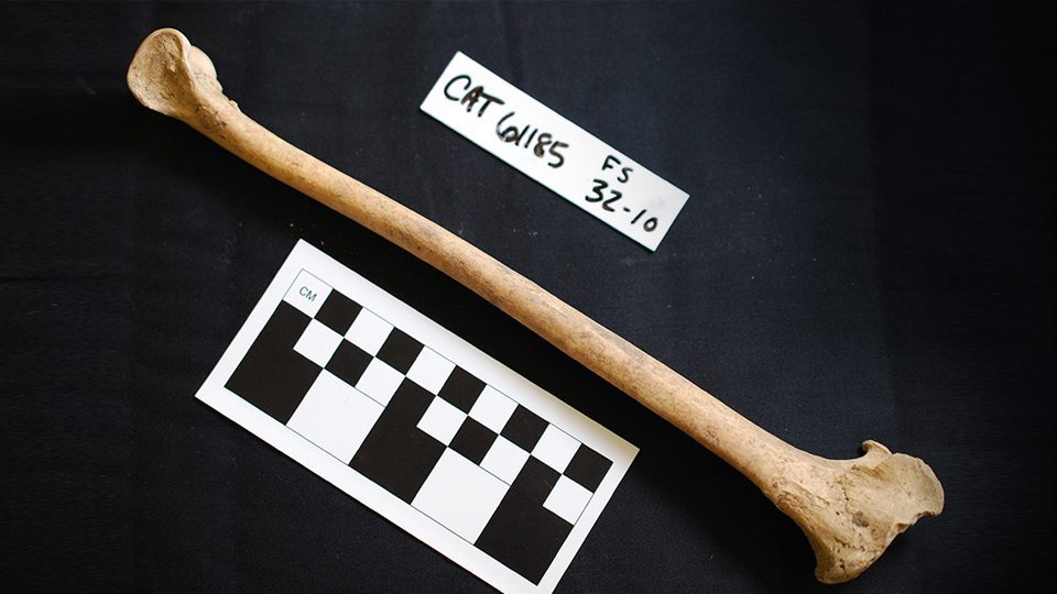 Insightful Paper, Co-Authored by Kye Miller, Published in KIVA: The ...