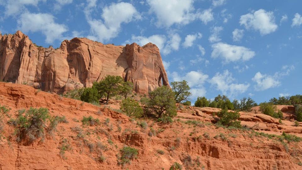 USDA's Natural Resources Conservation Office Award for PaleoWest