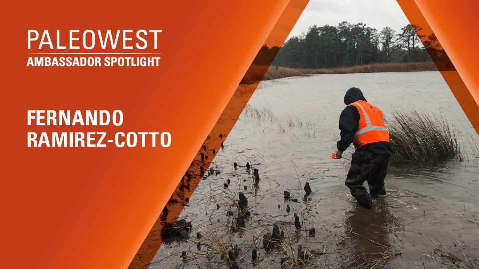 Introducing a New Blog Series on Our Ambassadors - Chronicle Heritage