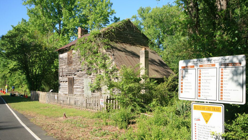 Digging into a Phase II Investigation at Virginia's Dismal Swamp