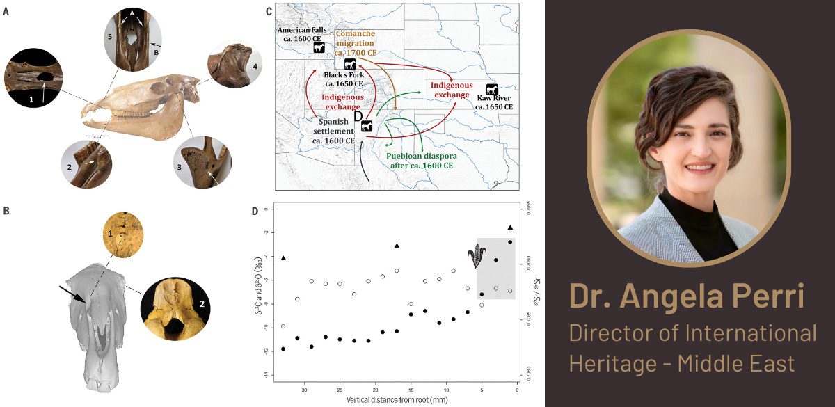 Dr. Angela Perri’s Co-Authored Paper Awarded AAAS Newcomb Cleveland ...