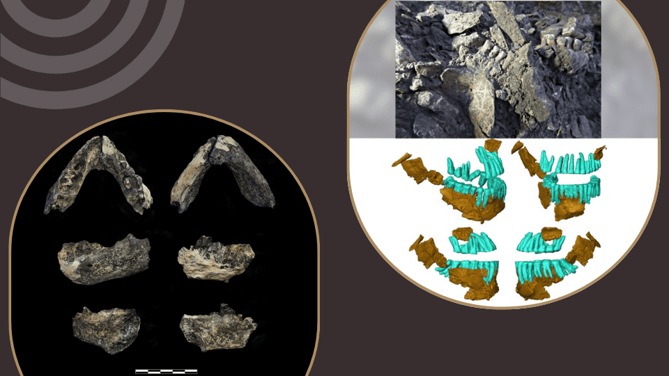 Two Publications Co-Authored by Dr. Jason Lewis Posed to Change Our ...